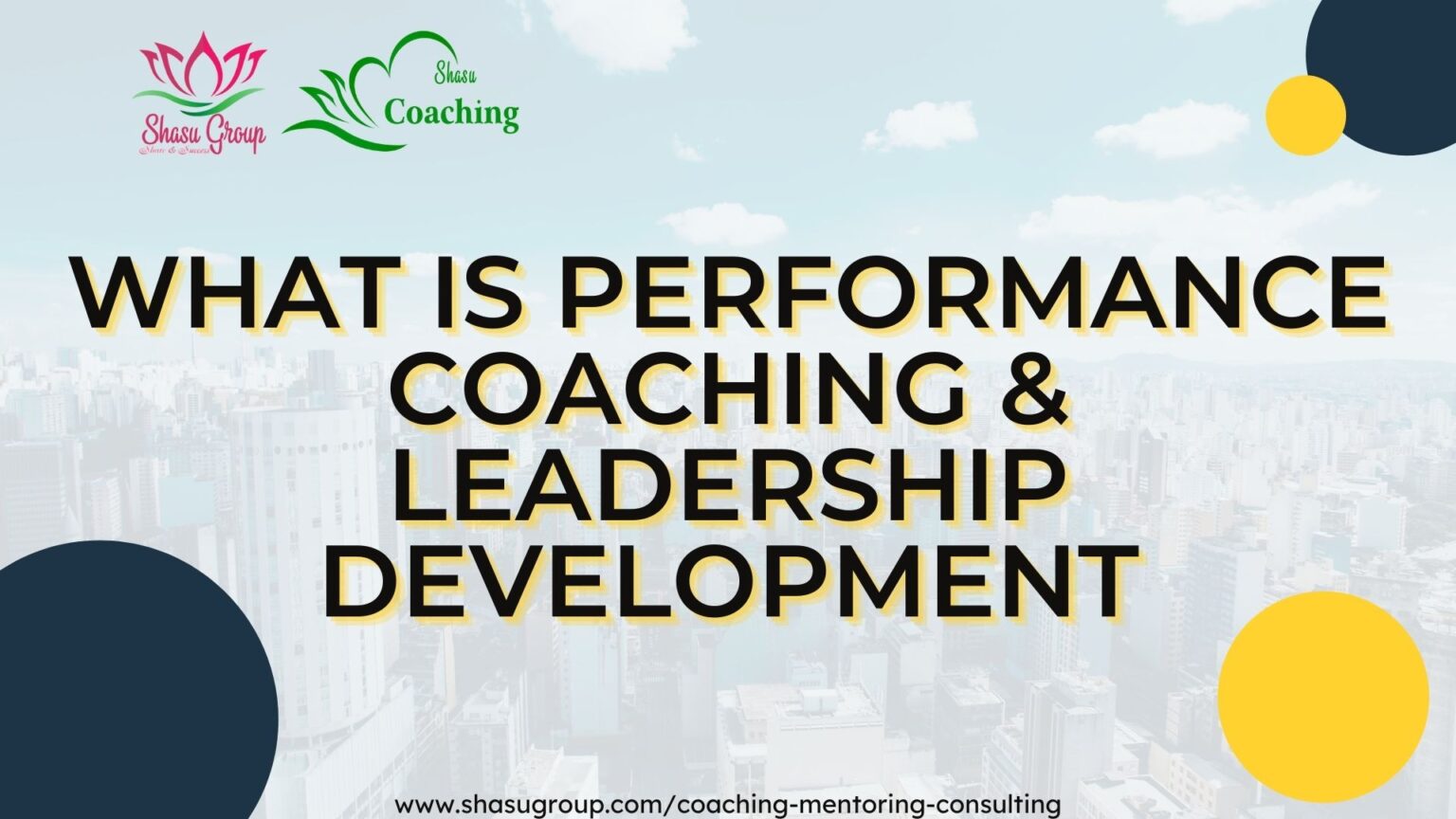 What Is Performance Coaching & Leadership Development – SHASU NEWS